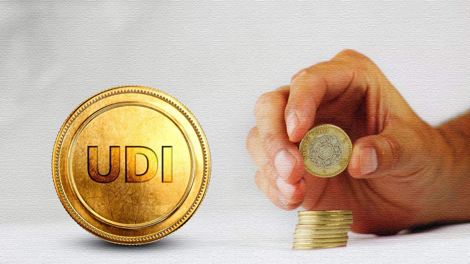 ¿Qué son las UDIs?