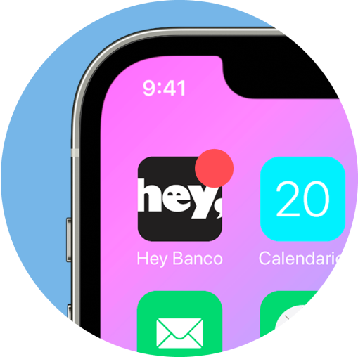 ¿Qué son las UDIs?